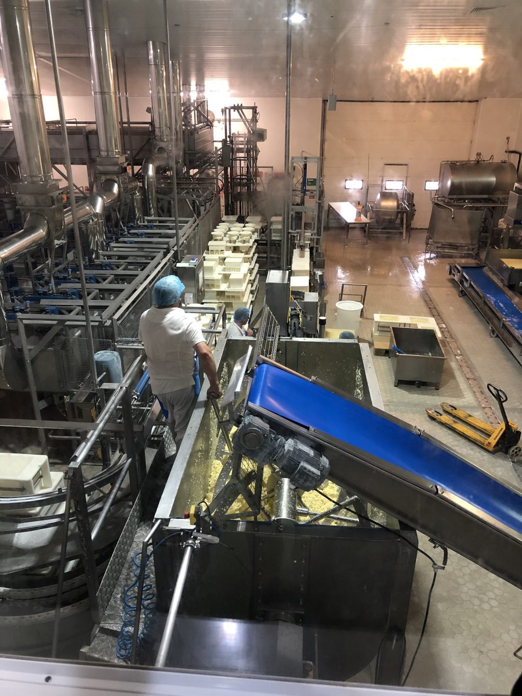 McKee students visit Dewlay Cheese Factory - McKee College House McKee ...