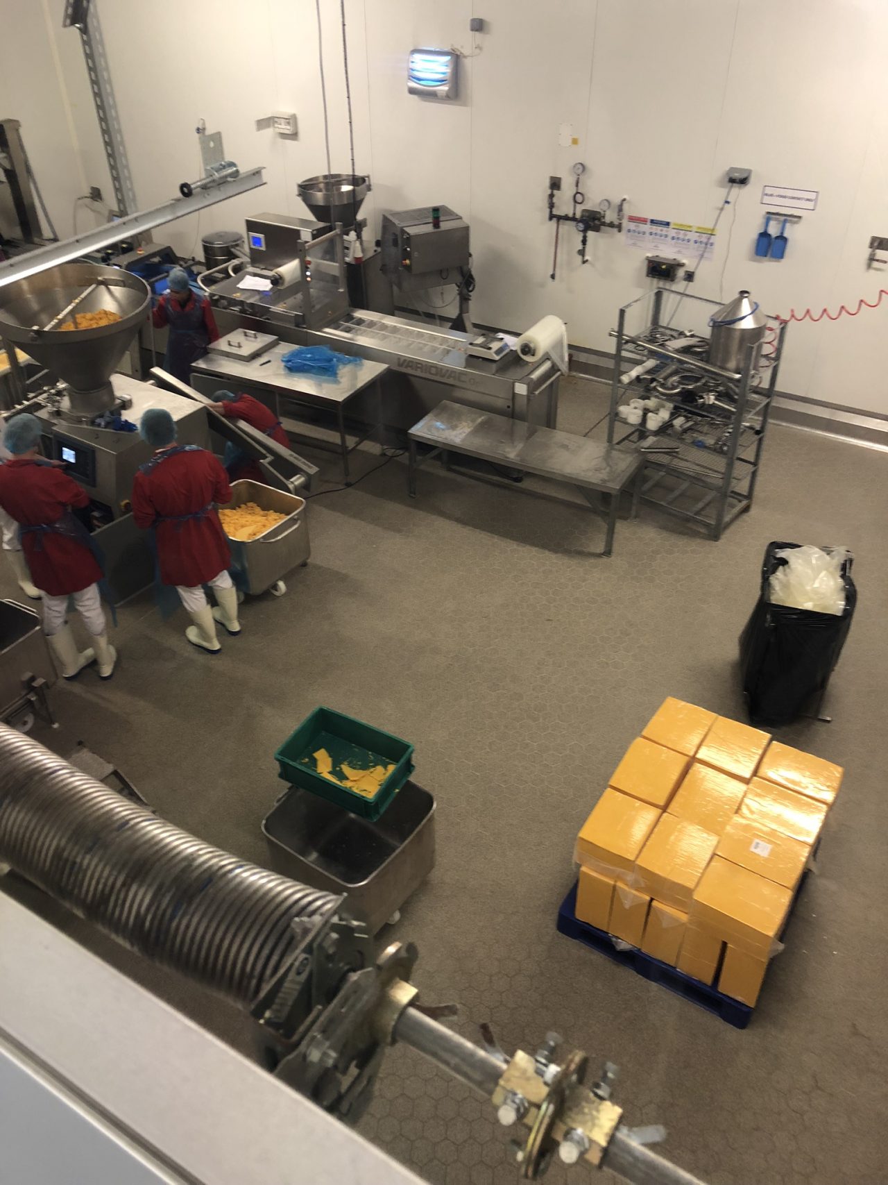 McKee students visit Dewlay Cheese Factory - McKee College House McKee ...