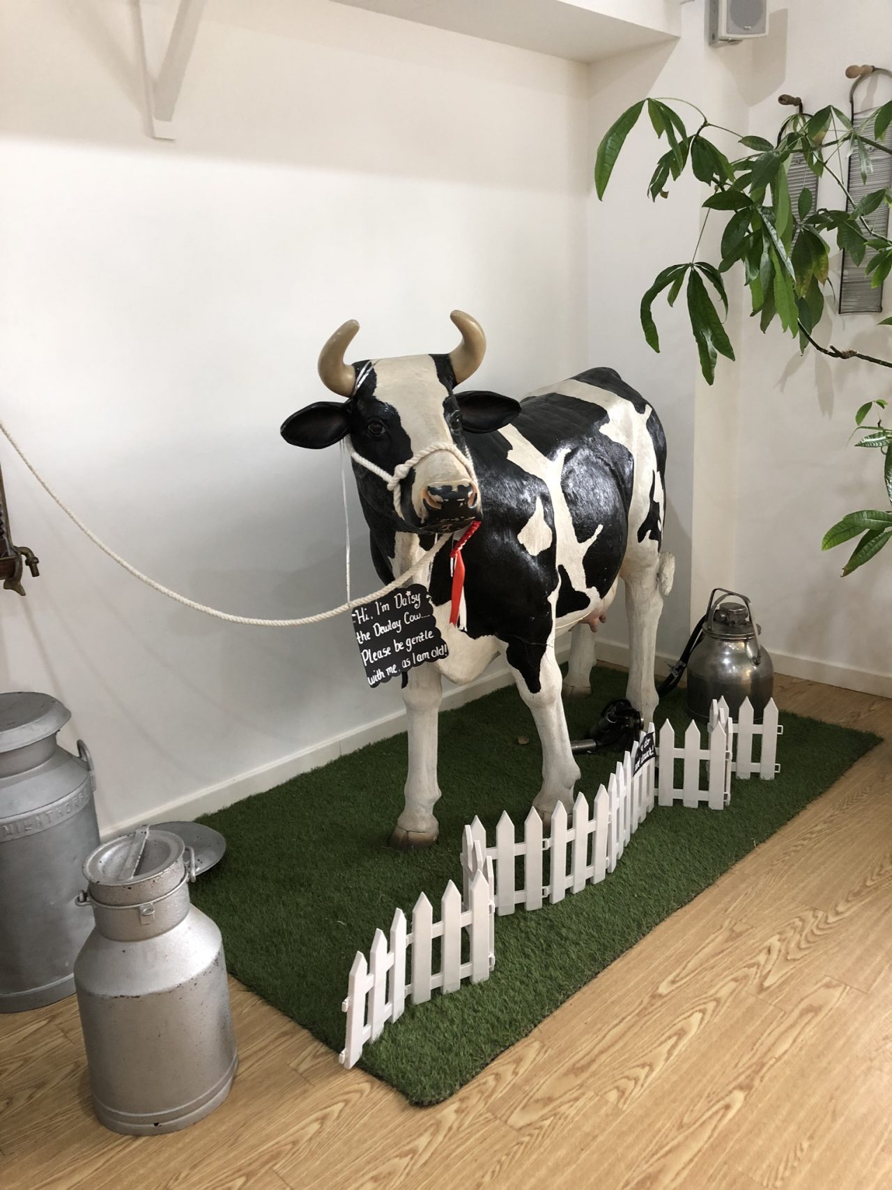 McKee students visit Dewlay Cheese Factory - McKee College House McKee ...