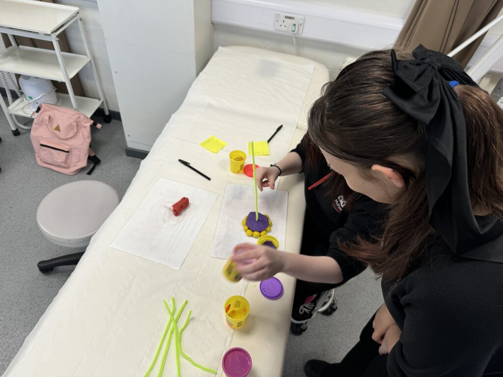 Blackpool and Fylde College Experience Day - McKee College House McKee ...